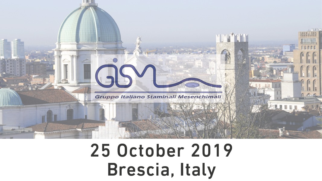 GISM Workshop - Comecer Event