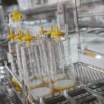 NEW MSTI - Modular Sterility Testing Isolator | Comecer