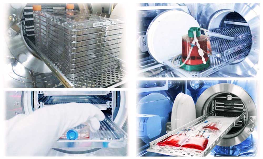 Upstream, Processing, Downstream for Cell & Gene Therapy Applications